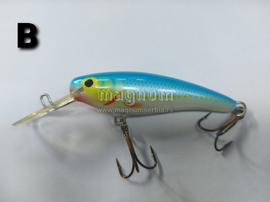 Calypso vobleri