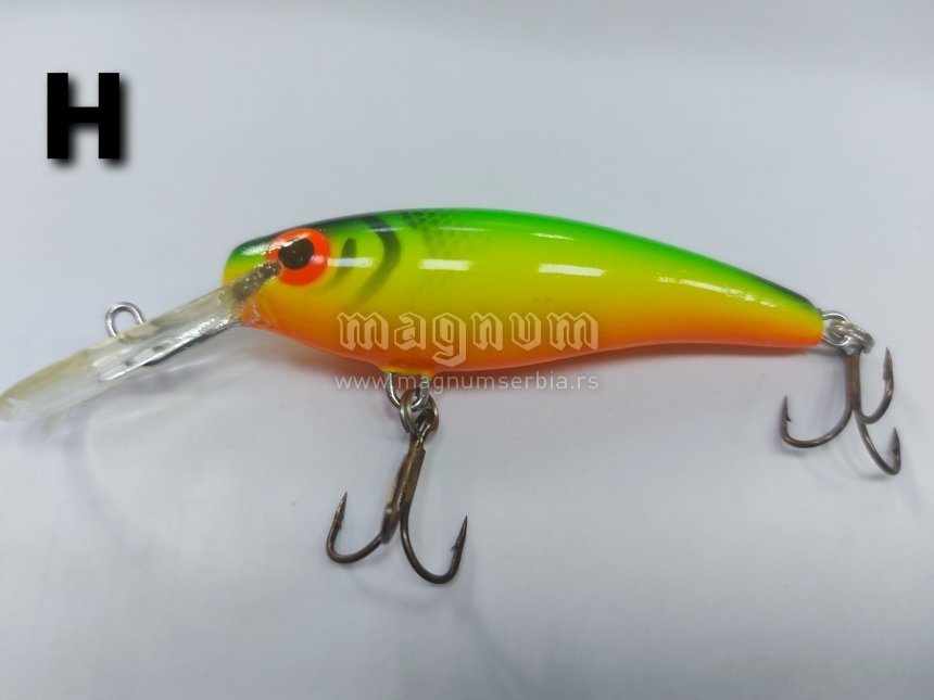 Calypso vobleri