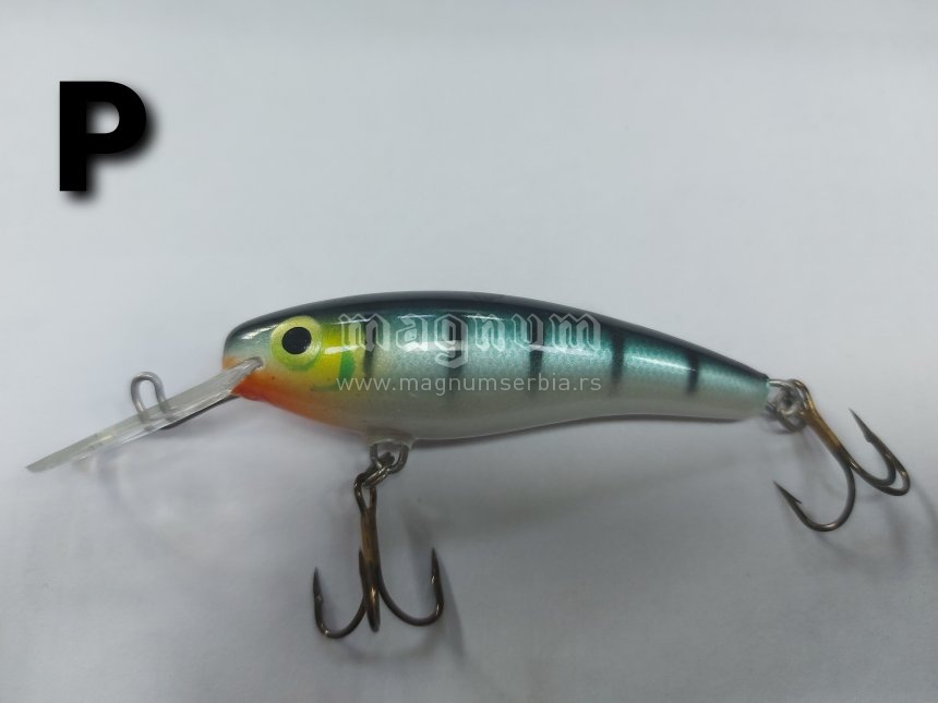Calypso vobleri