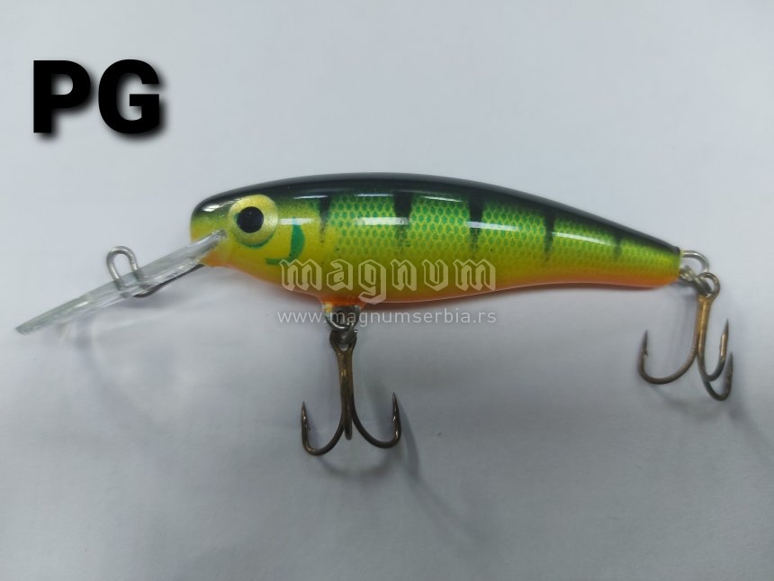 Calypso vobleri