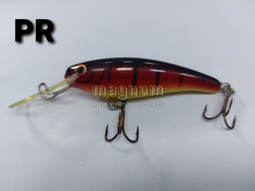Calypso vobleri