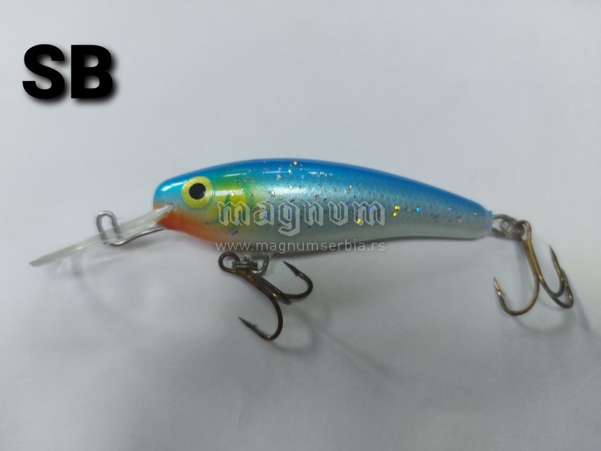 Calypso vobleri