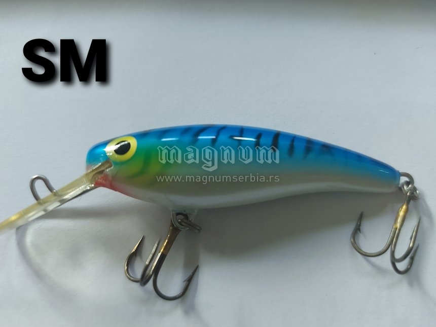 Calypso vobleri